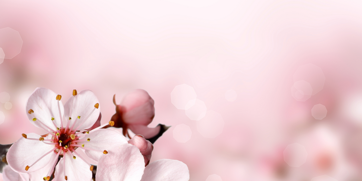 Haddenham Comfiwave® Neck Compression Support – Faith Fitter Store